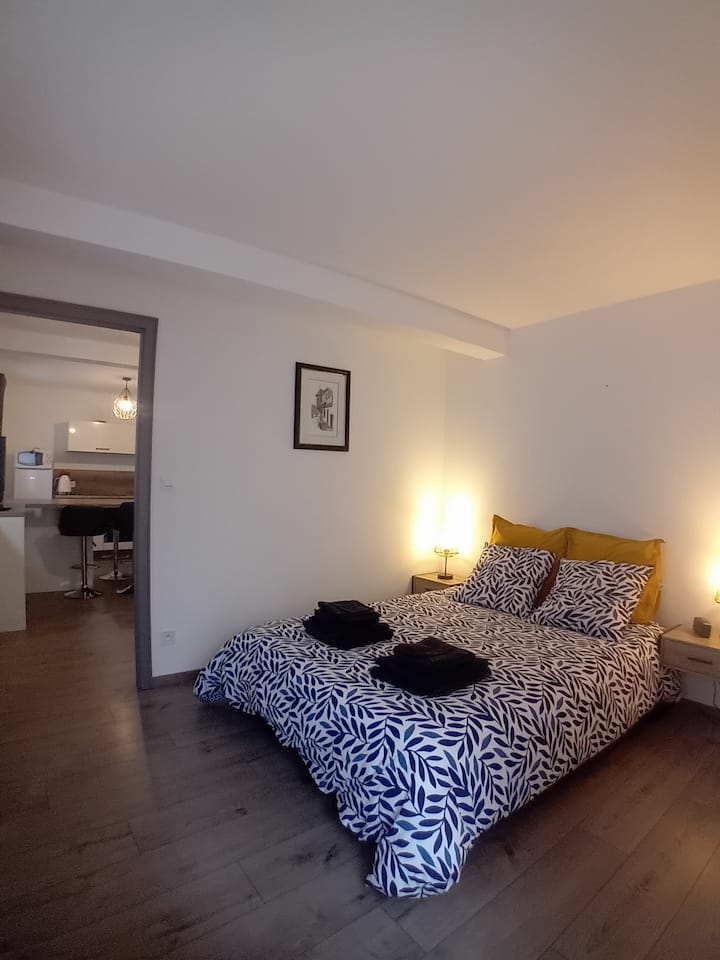 Appartement "Le Bredele" Cité Médiévale Riquewihr - Riquewihr