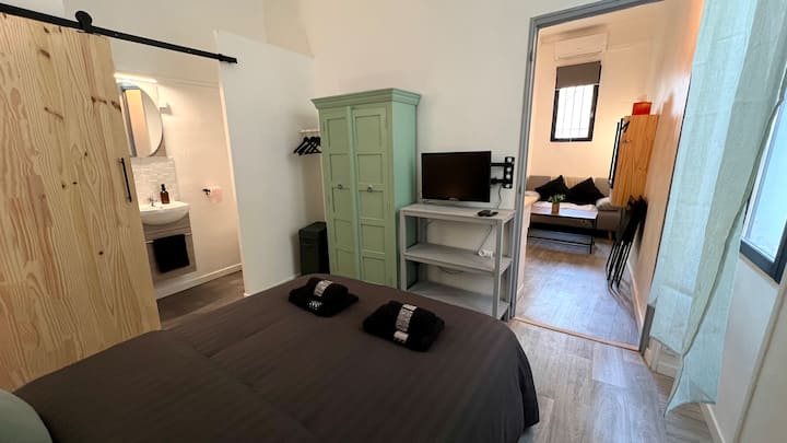 Cozy T1 Rénové Climatisé Et Sur-équipé - 아비뇽