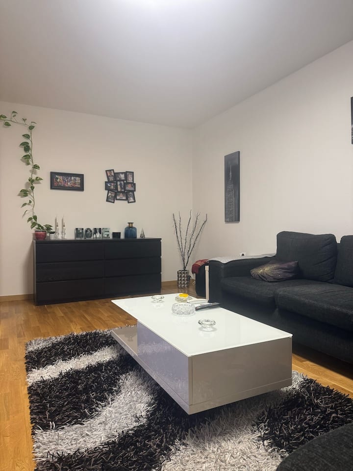 Well Connected Apt - Malmö