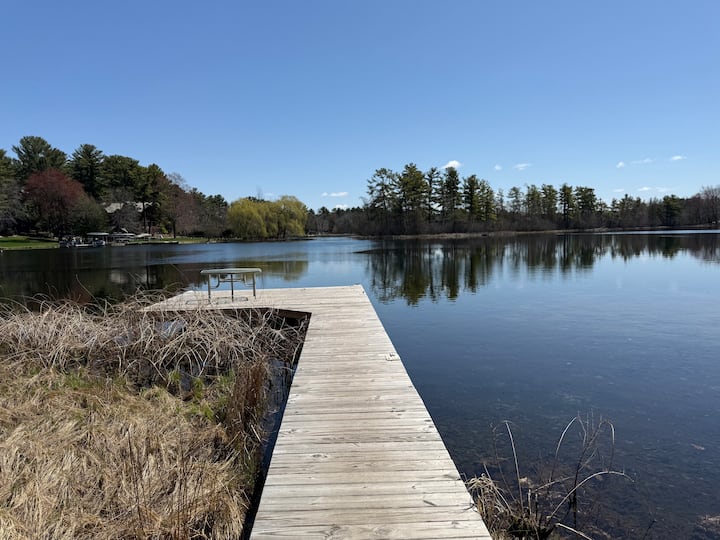 Lion On Beasley*chain O' Lakes - Hartman Creek State Park, Waupaca