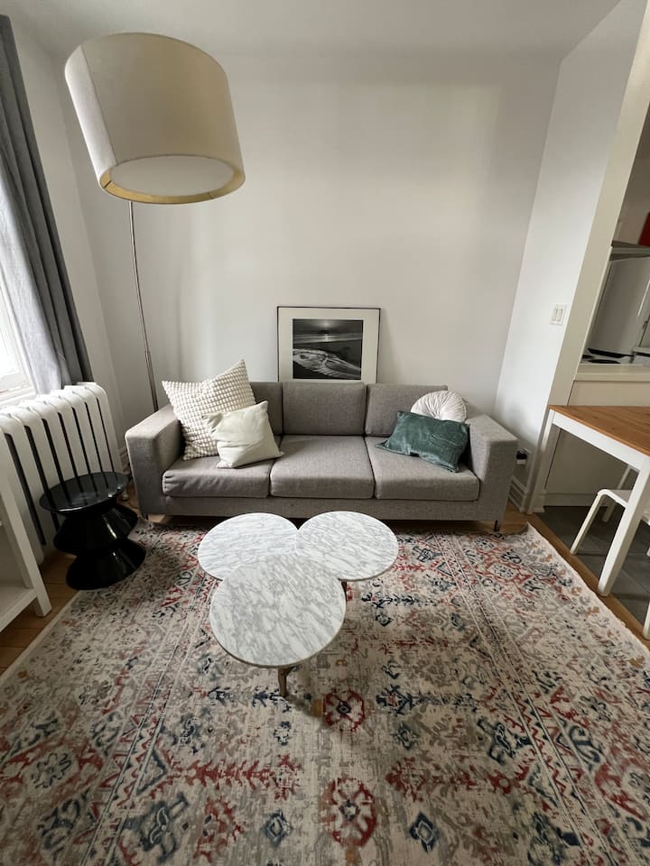 U8 Convenient 1 Bedroom Downtown Annex Apartment - Toronto