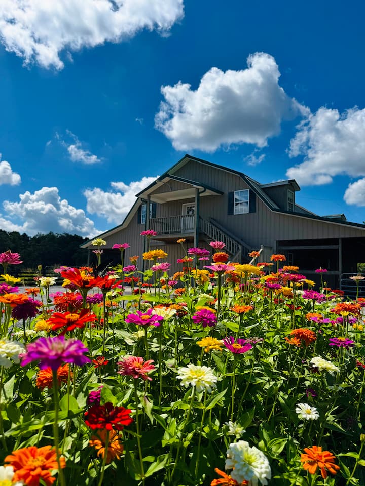 Romantic Barn Loft, Pond Views & Quiet Escape - Tennessee