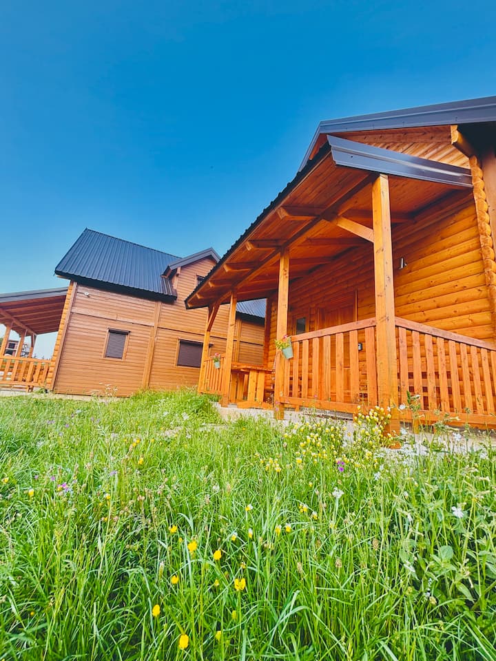 Alfa & Omega For Families And Groups - Montenegro