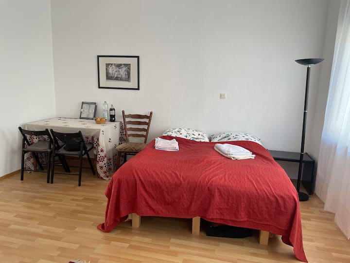 Einzimmerapartment In Hochpaterre - Wuppertal