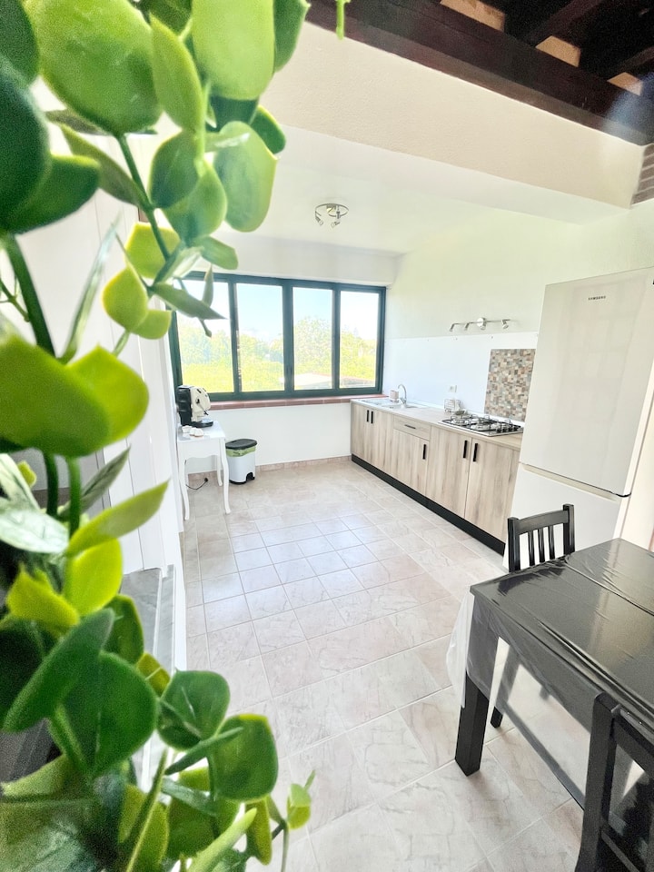 Anna Holidays A 2 Passi Dal Mare - Lascari