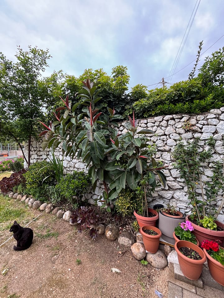 Casa Di Nona Mariana - Himarë