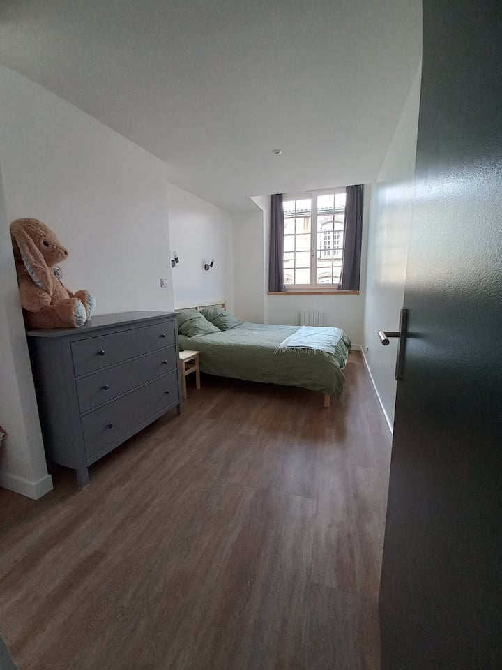 Appartement De Charme 45m² - Clermont-Ferrand