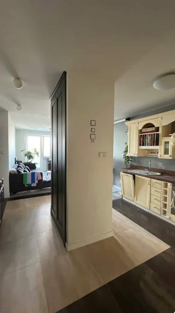 Komfortowe I Piękne Mieszkanie W Centrum - Warsaw