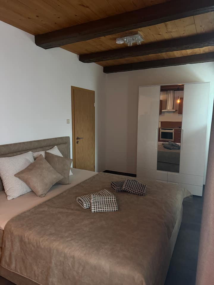 Apartment In Dresden - Dresde