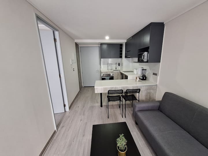 Arriendo Departamento Completo - Santiago