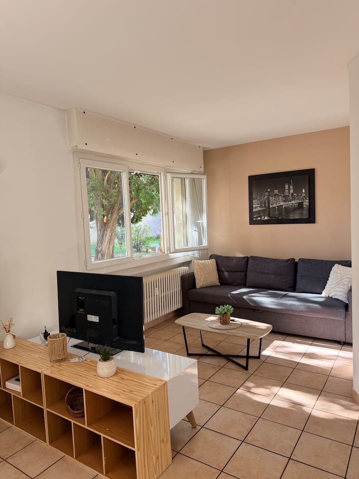 L'ecrin De Cusset - Chassieu