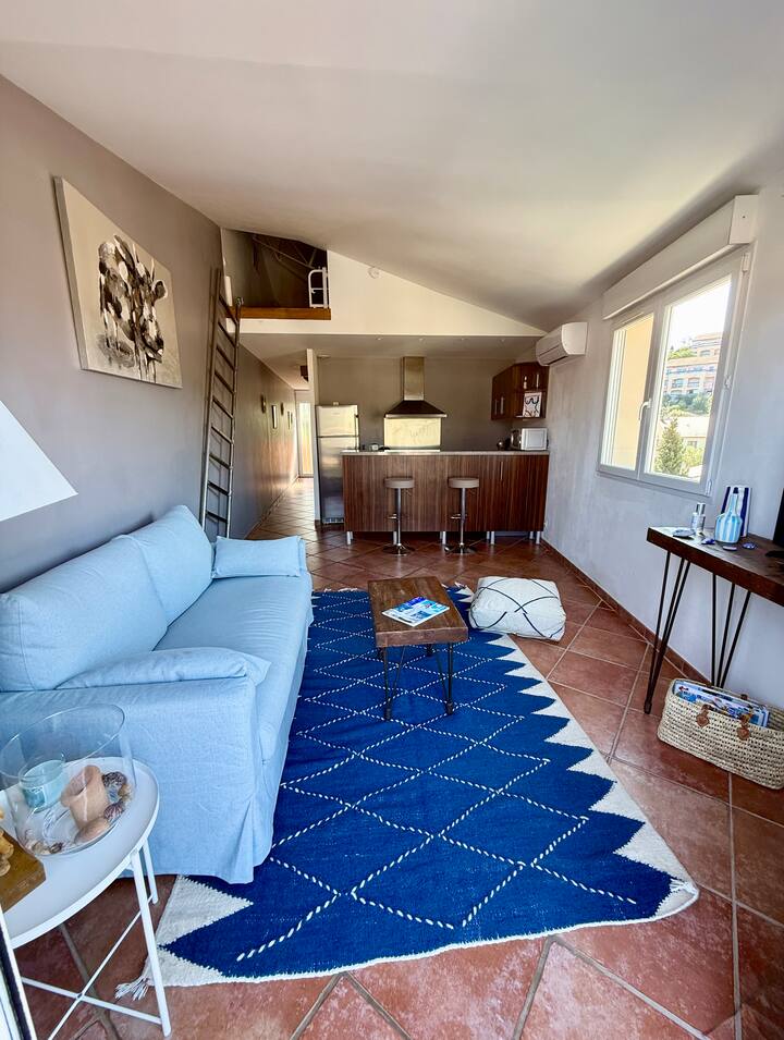 Plage 300m - Terrasse, Parking, Piscine Et Clim - Banyuls-sur-Mer
