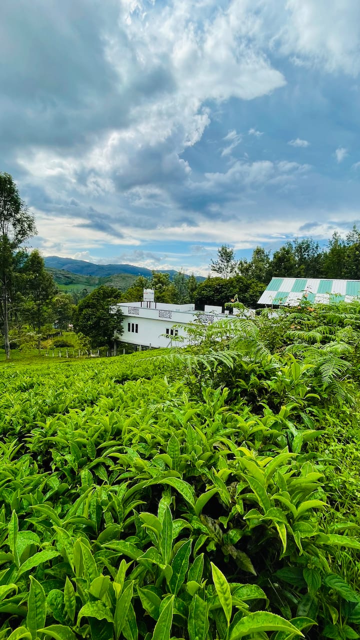 Easter's Home, Kotagiri - Kotagiri