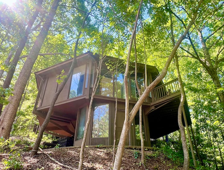 Redwing Treetopper In Big Canoe - Georgia, GA