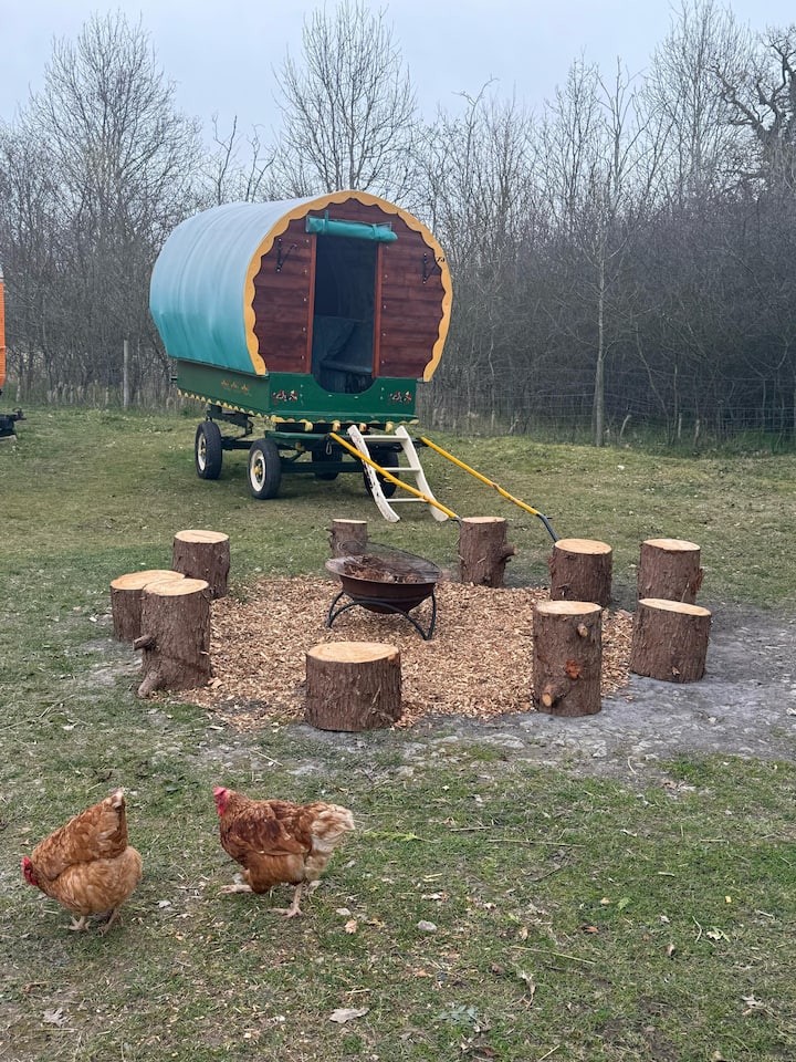 The Gypsy Wagon - Bicester