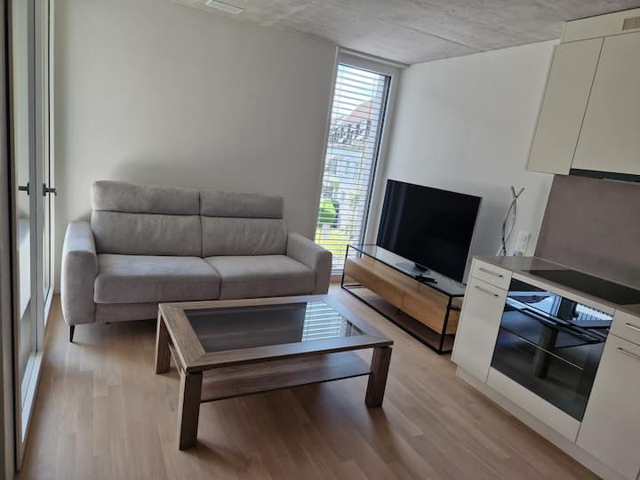 Zürich Apartment, 38 Sqm - Zurich, Switzerland