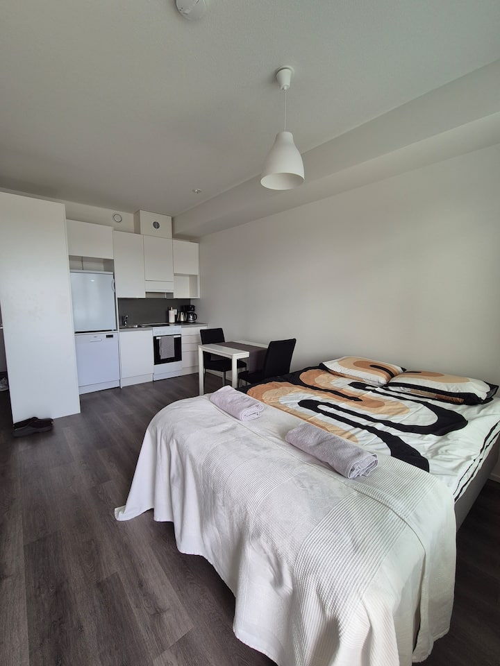 Valoisa Yksiö Kahdelle - Joensuu