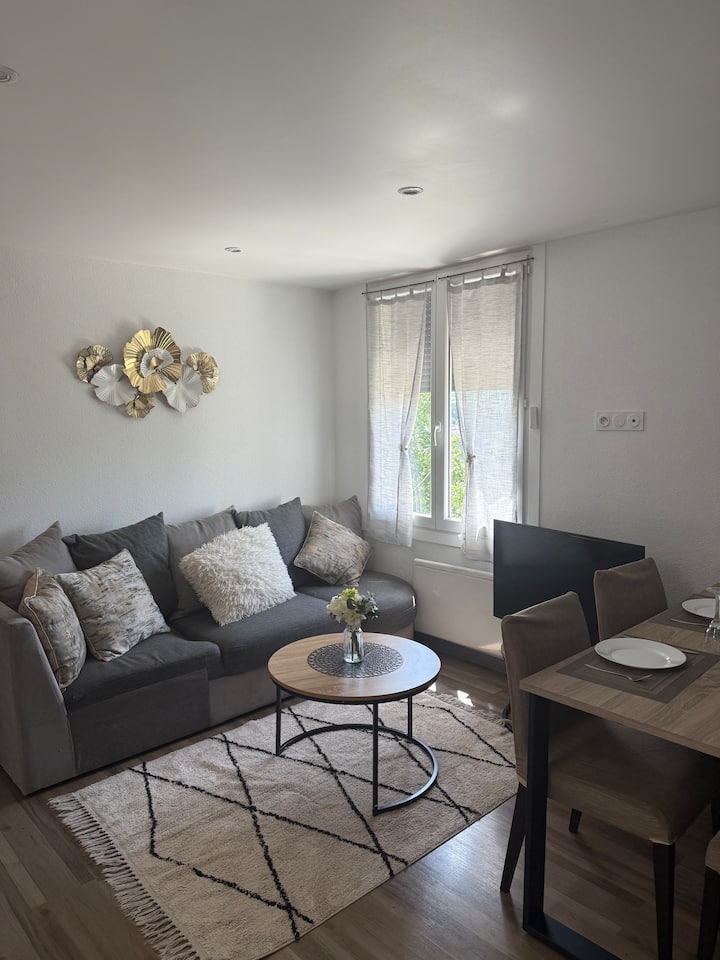 Appartement Lumineux Chambéry - Chambéry