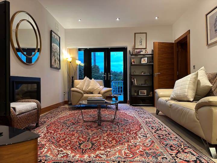 Contemporary Home - Balbriggan