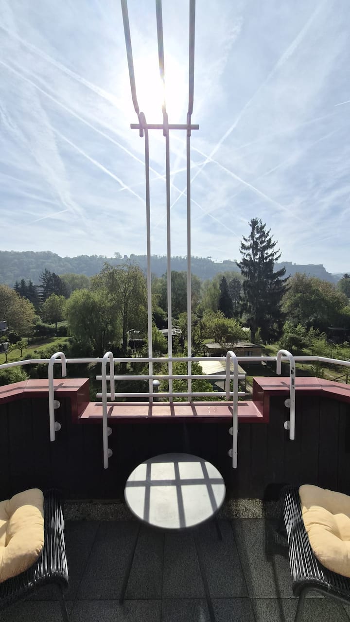 Apt. With Panoramic/rhine View In A Green Area - Coblence