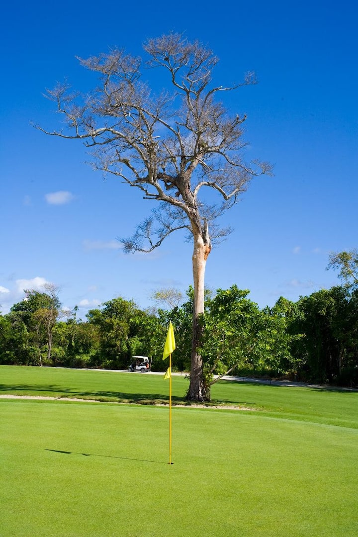 Amazing Sunset - Punta Cana