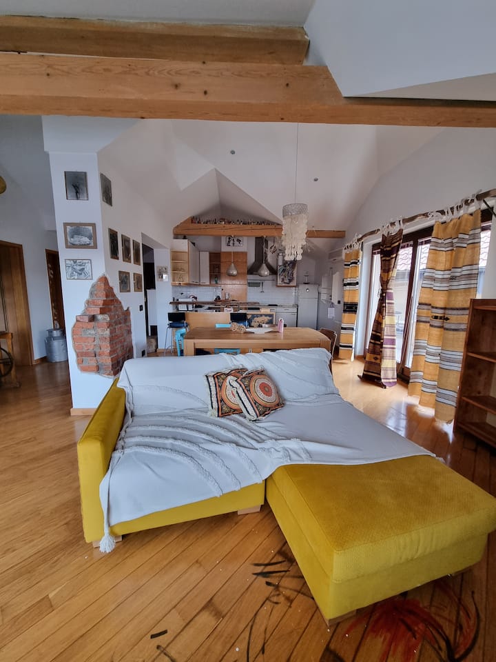 Luxurious Apartment - Zagreb