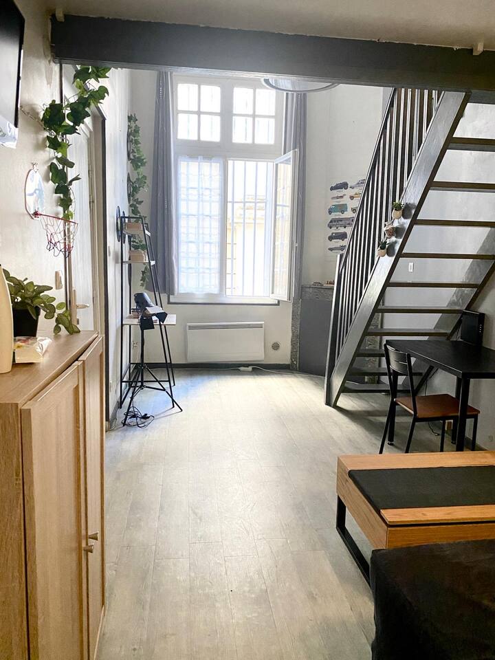 Appartement Cosy Avec Mezzanine - Montpellier