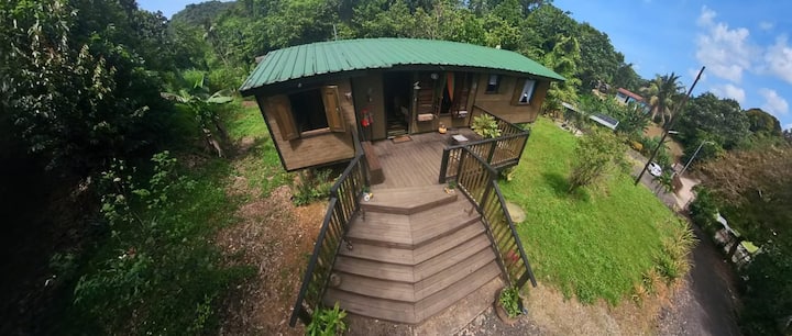 The Jibaritos House Airbnb - Utuado