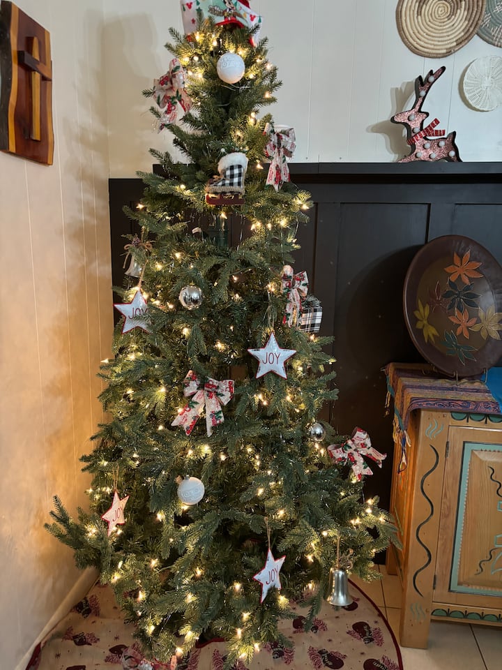 Texas Dreamcatcher - Centrally Located - Longview, TX