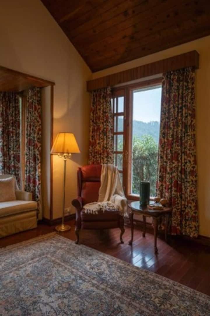 The Dimsim Villa - Nainital