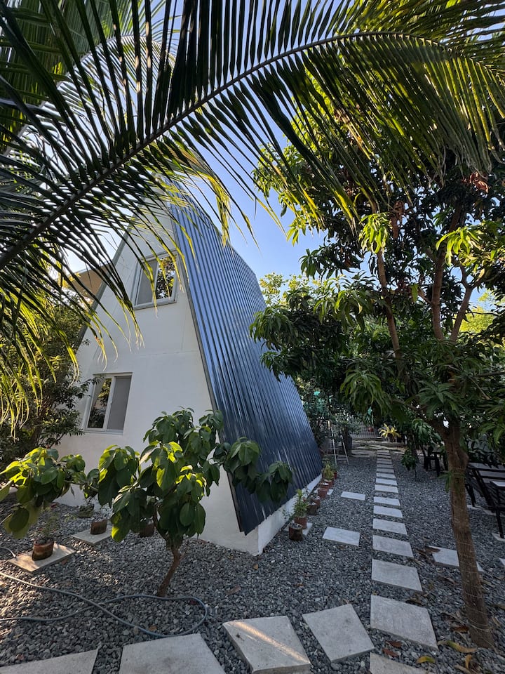 The Cave’s A-house - Concepcion