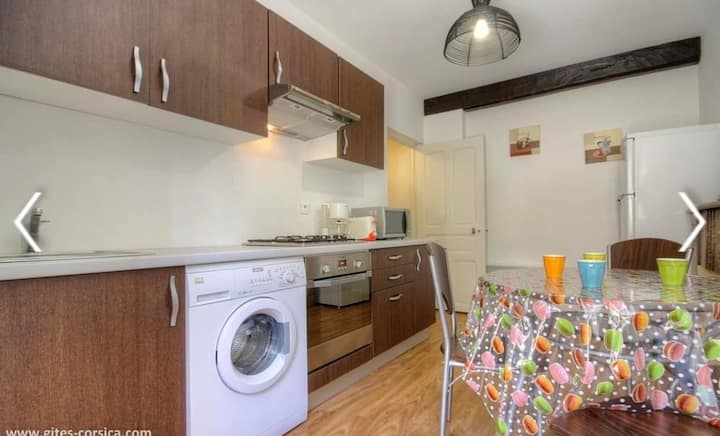 Nouveau - Appartement T3- Bastelica, Montagne N°1 - Bastelica