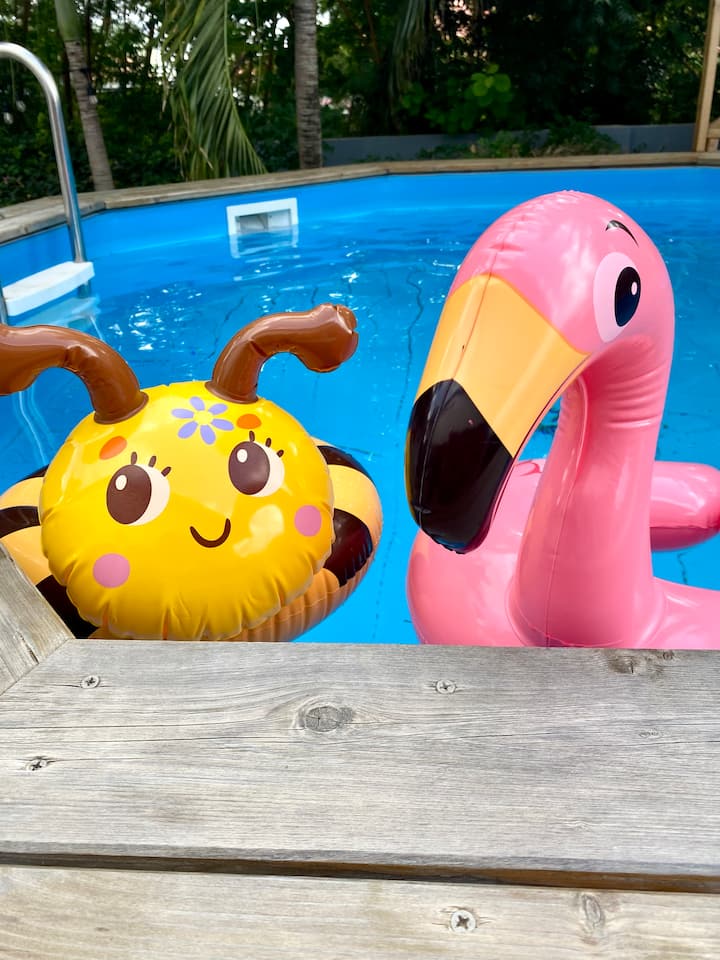 Tropical Guest Cottage W/pool +5 Mins To 3 Beaches - Curaçao