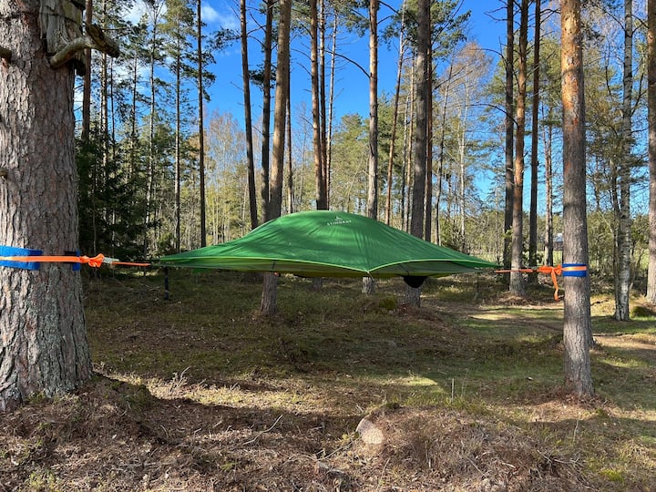 Krassin Tentsile - Naantali