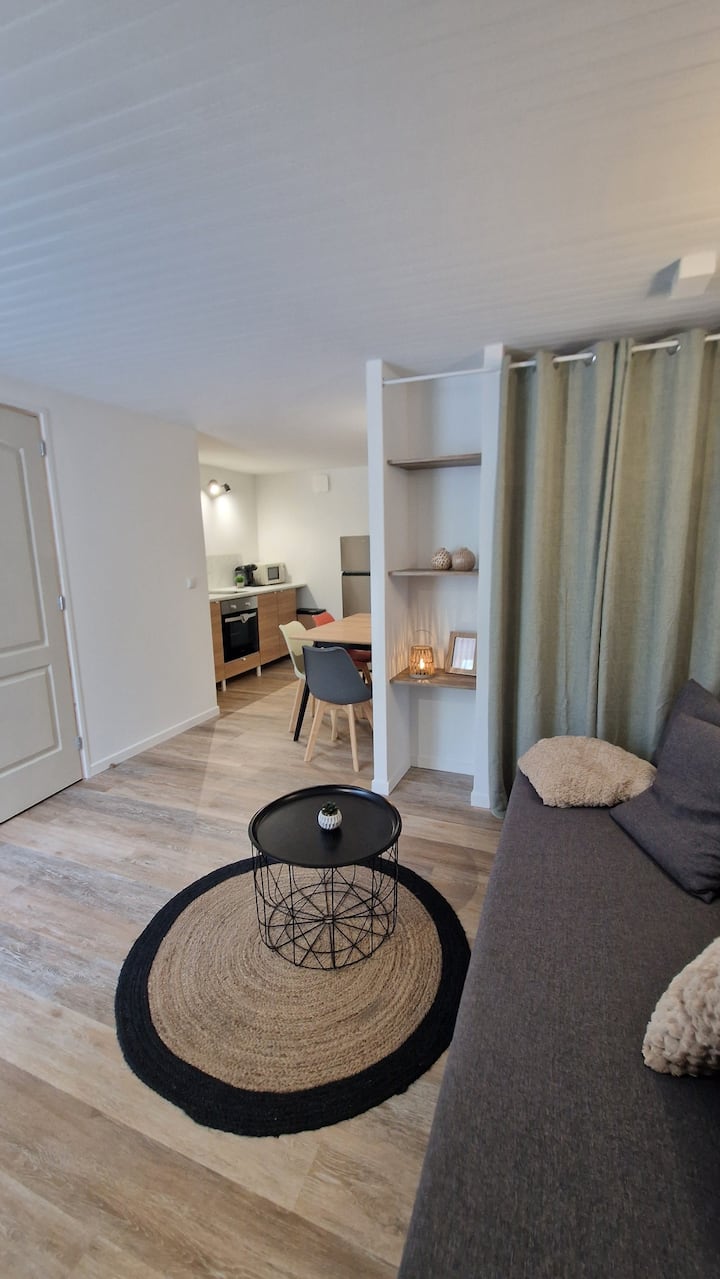 Appartement T2 Rénové - Lagnieu
