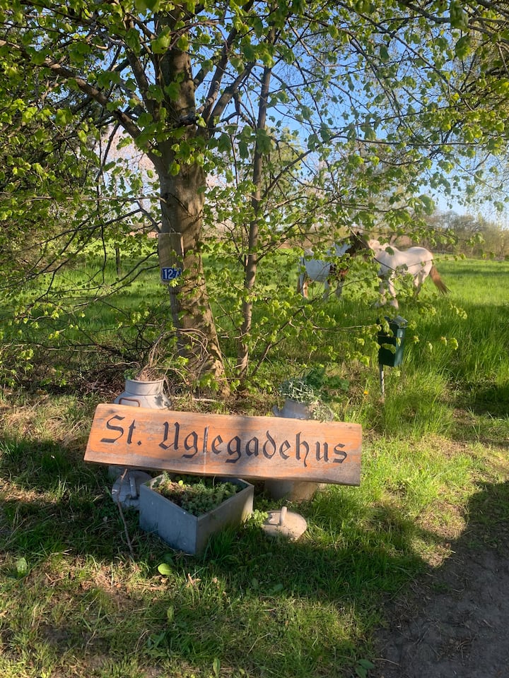 Great Owl Street Lodge - Bornholm