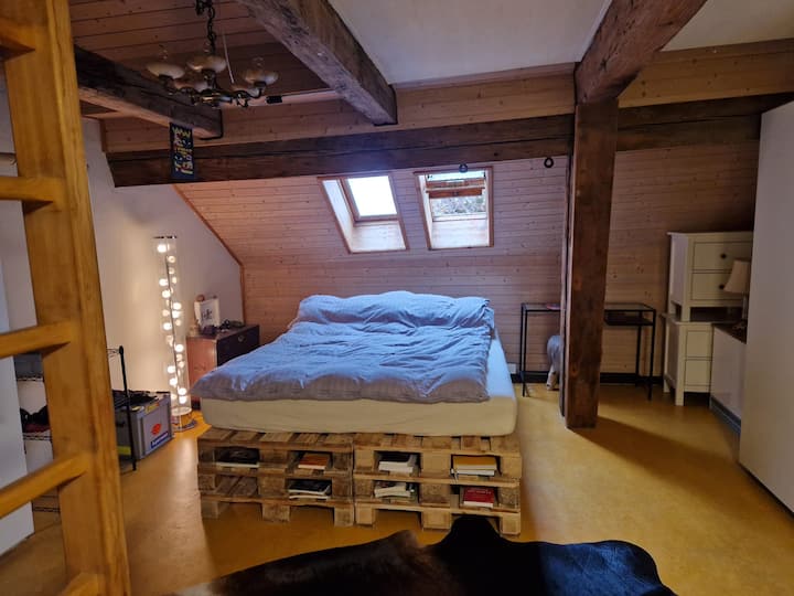 Wohnen Am Wasser Im Schönen Vorstädtchen Nidau - Bienne