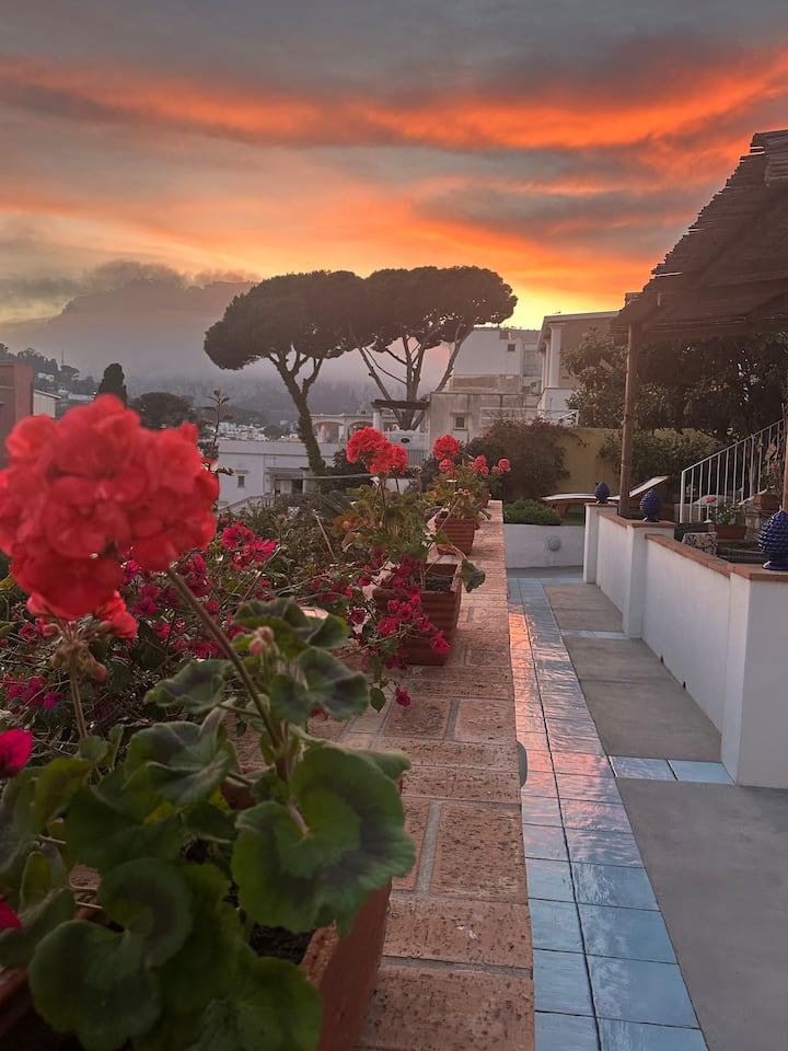 Casa Sama By Capri Joy - Capri