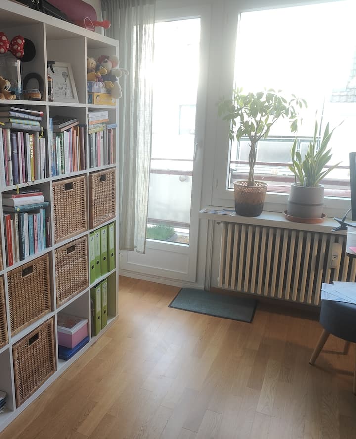 Amazing Appartment Basel City Center - Basel