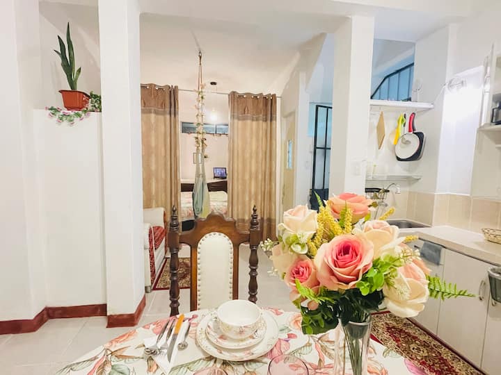 Small Flat W/swing Near Zoo-pool-hosp-monumental - Lima