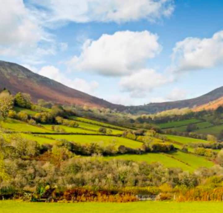 Walkers Cosy Cottage - Crickhowell