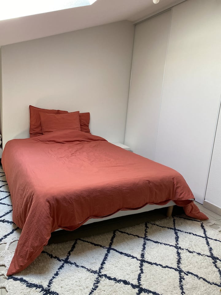 Loue Une Chambre Très Spacieuse - Thonon-les-Bains