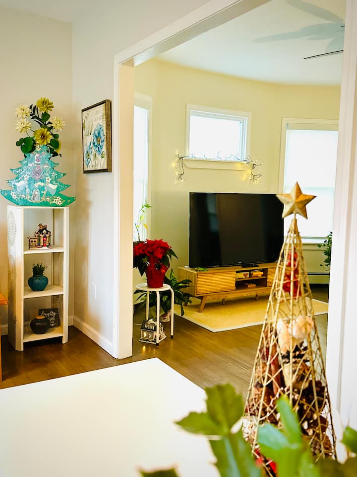 Signature Bloom # 54 - Hartford, CT