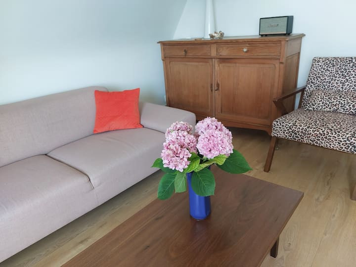 Paisible. - Mulhouse