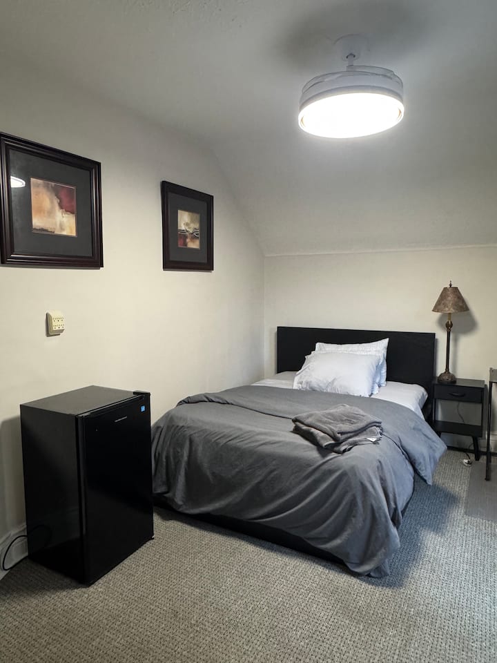 3 Bd Walking Distance Dt/uwo - Londyn