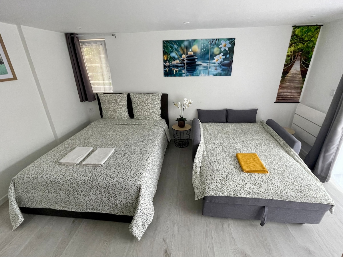 Studio Zen, CDG, Expositions, Disney, Astérix, Arena - Appartements à ...