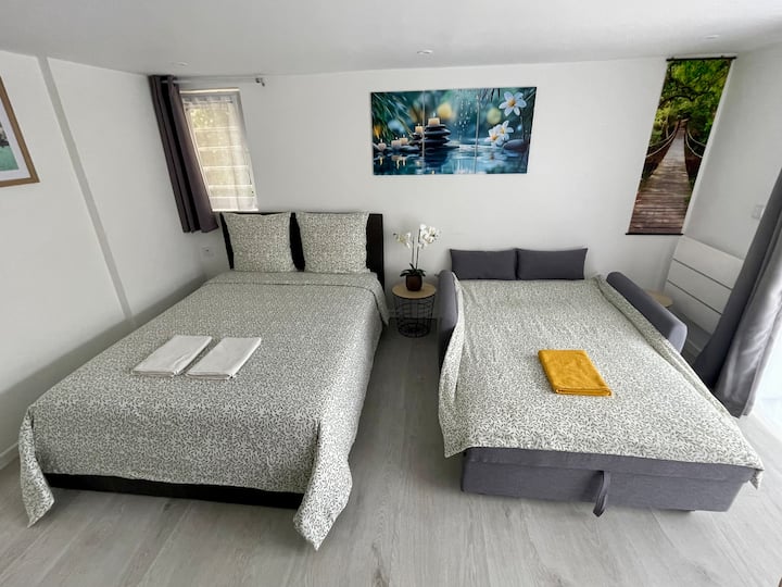 Cosy & Zen, Cdg, Expo, Disney, Astérix, Arena - Claye-Souilly