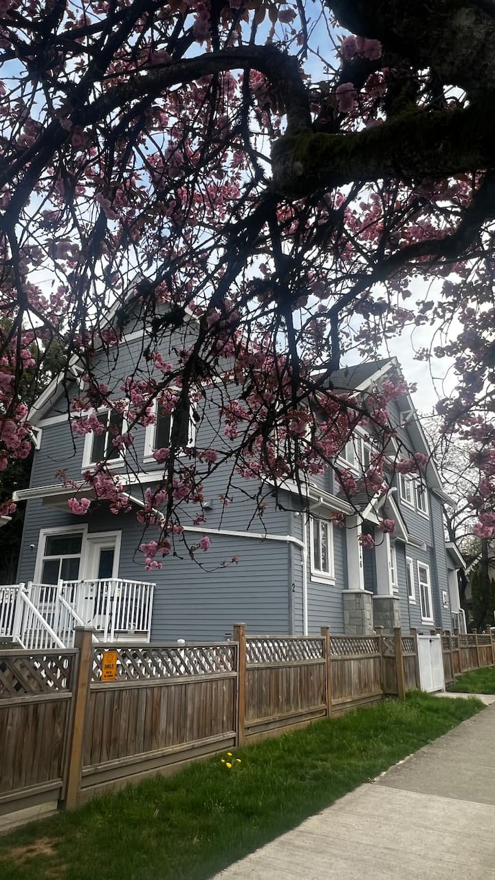 New 1 Bed+den Basement Suite In Mt Pleasant - Vancouver