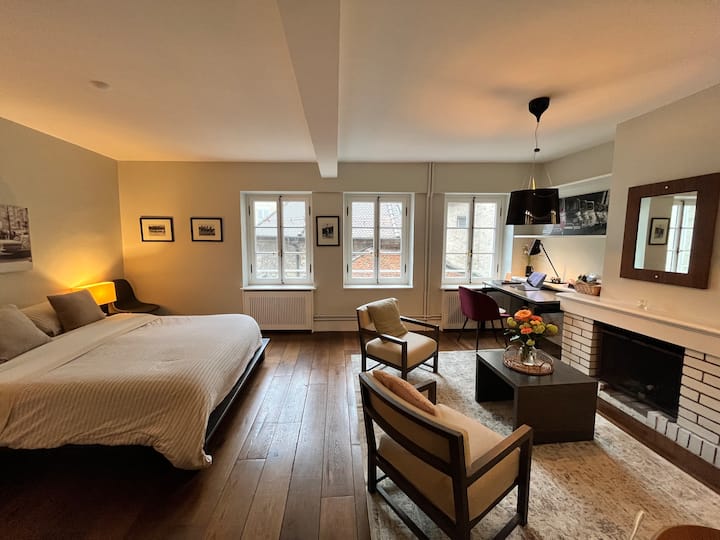 Splendid Studio Old Town Geneva - Genf