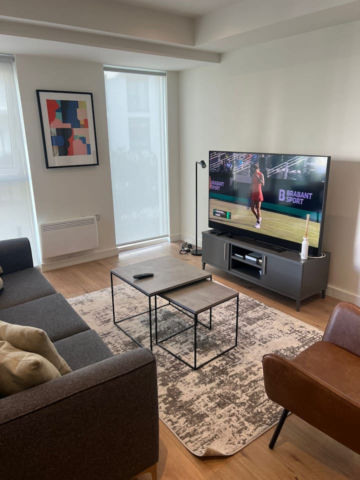Classic Apartment With Sauna/gym - Bray